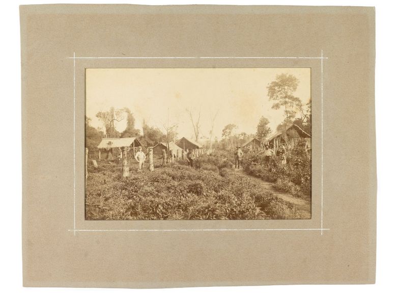 Blog | Die Kolonie Nueva Germania - Klassik Stiftung Weimar